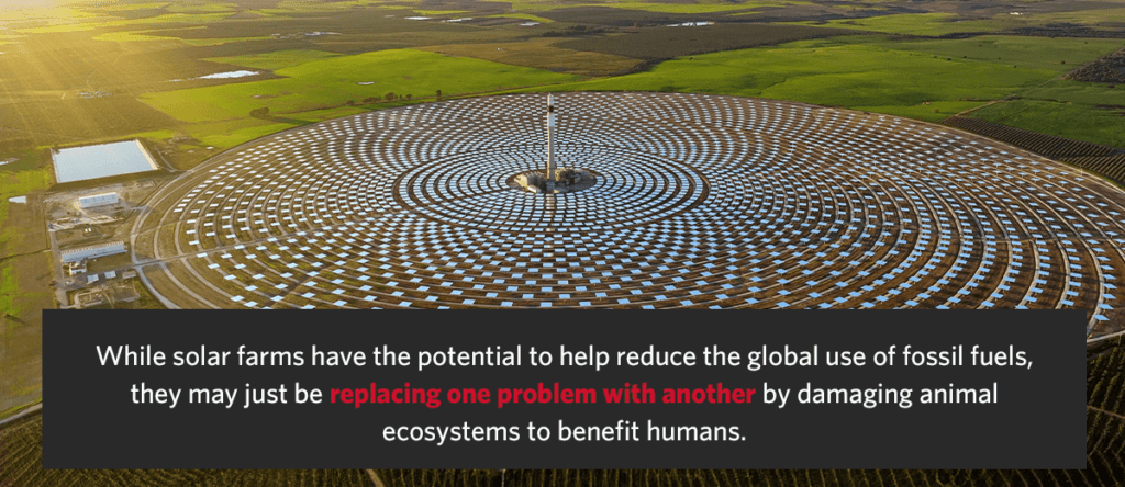 Are Solar Farms Actually Environmentally Friendly? - VPS